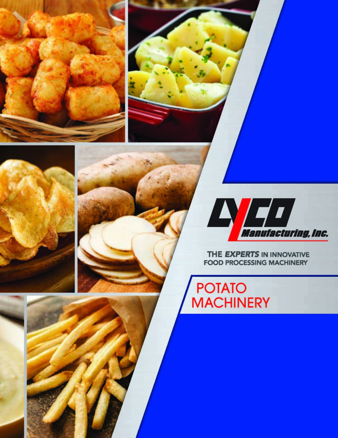 Blanchers | Food Process Machinery | Lyco Manufacturing